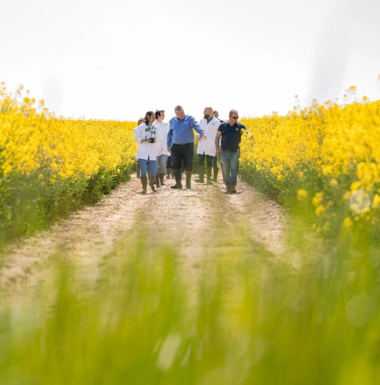 Welcome to the homepage of BASF Innovation Center Gent