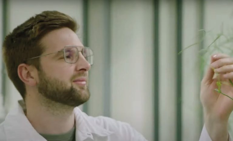 Our people at BASF Innovation Center Gent