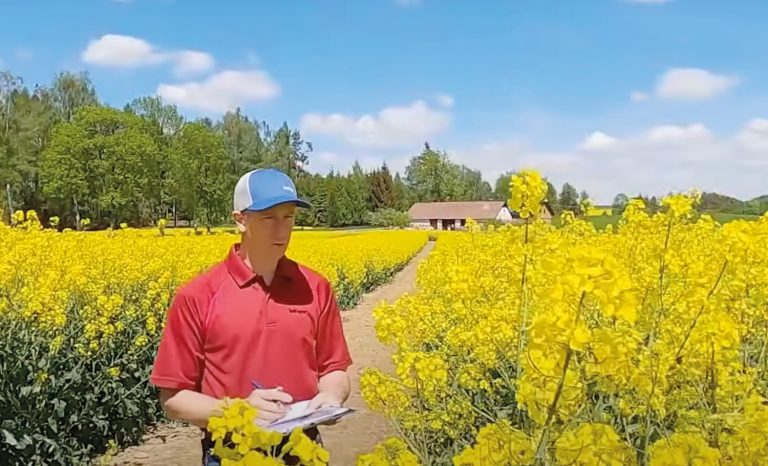 Our people at BASF Innovation Center Gent